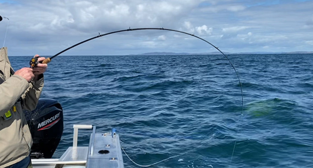 How to catch fish with Slider lures – Fishing Innovators